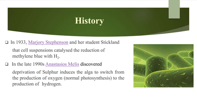 Biohydrogen as a fuel | PPTX | Chemistry | Science