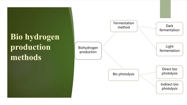 Biohydrogen as a fuel | PPTX | Chemistry | Science