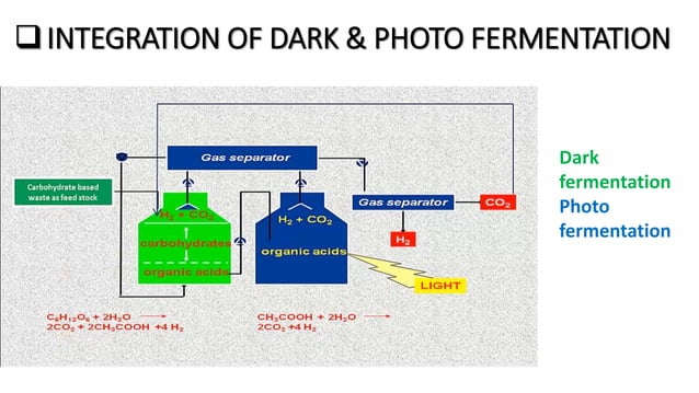 Biohydrogen production | PPT