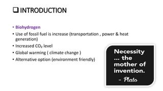 Biohydrogen production | PPTX