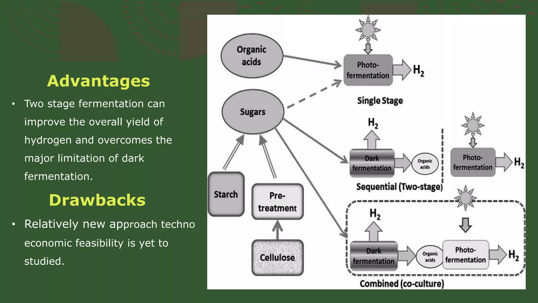 Biohydrogen production | PPTX