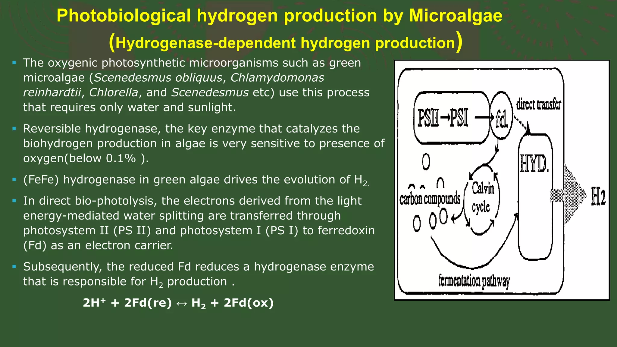 Biohydrogen production | PPTX