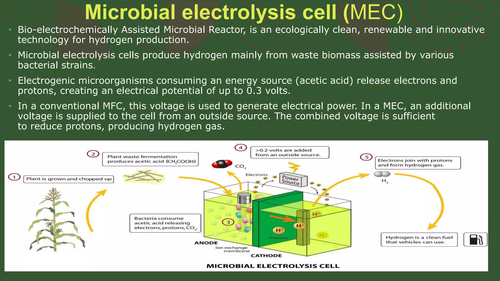 Biohydrogen production | PPTX