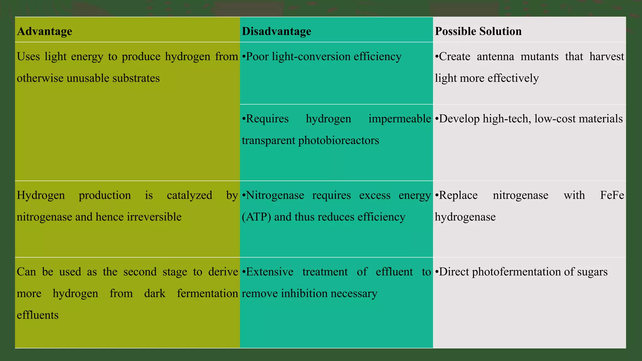 Biohydrogen production | PPTX