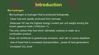 Biohydrogen production | PPTX