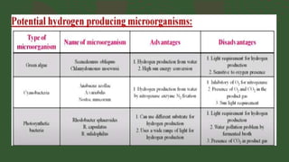 Biohydrogen production | PPTX