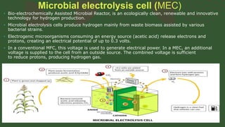 Biohydrogen production | PPTX