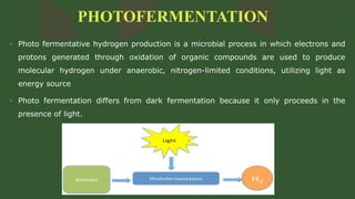 Biohydrogen production | PPTX