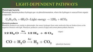 Biohydrogen production | PPTX