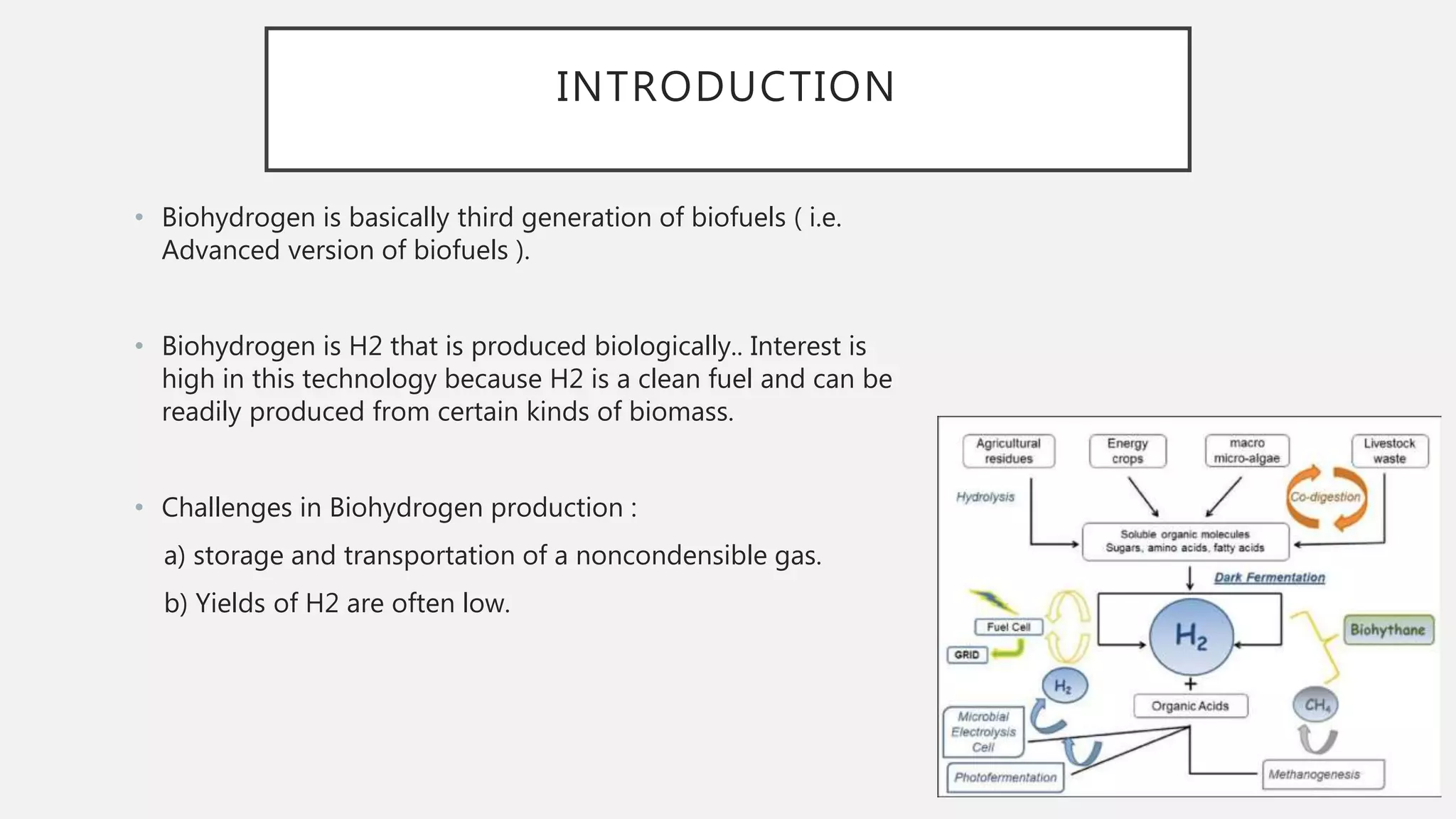 biohydrogen seminar.pptx