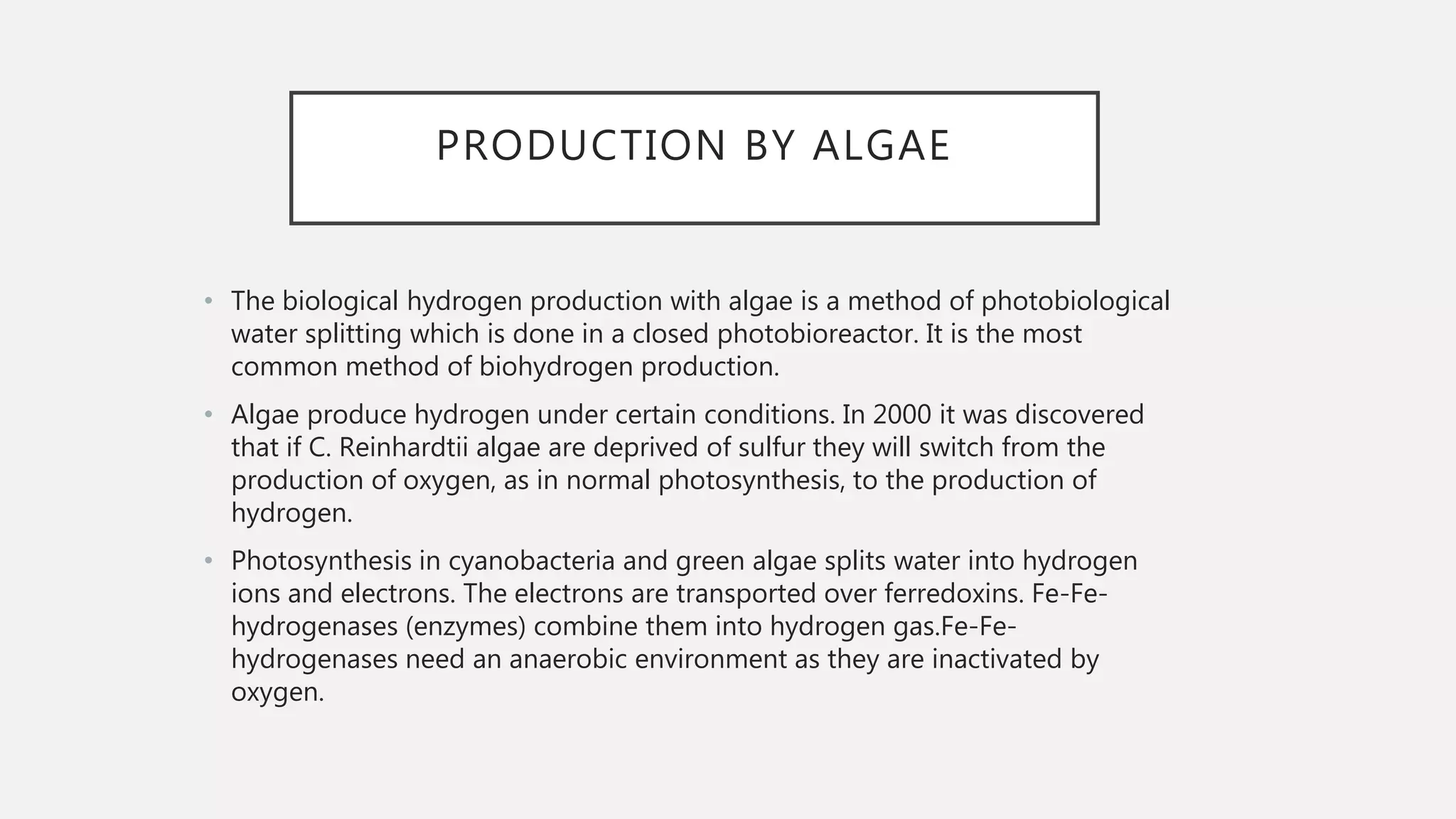 biohydrogen seminar.pptx