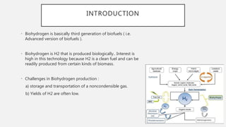 biohydrogen seminar.pptx