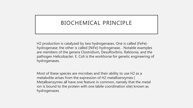 biohydrogen seminar.pptx