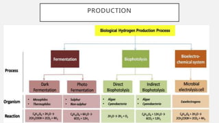 biohydrogen seminar.pptx