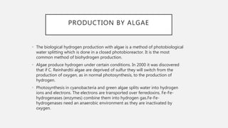 biohydrogen seminar.pptx