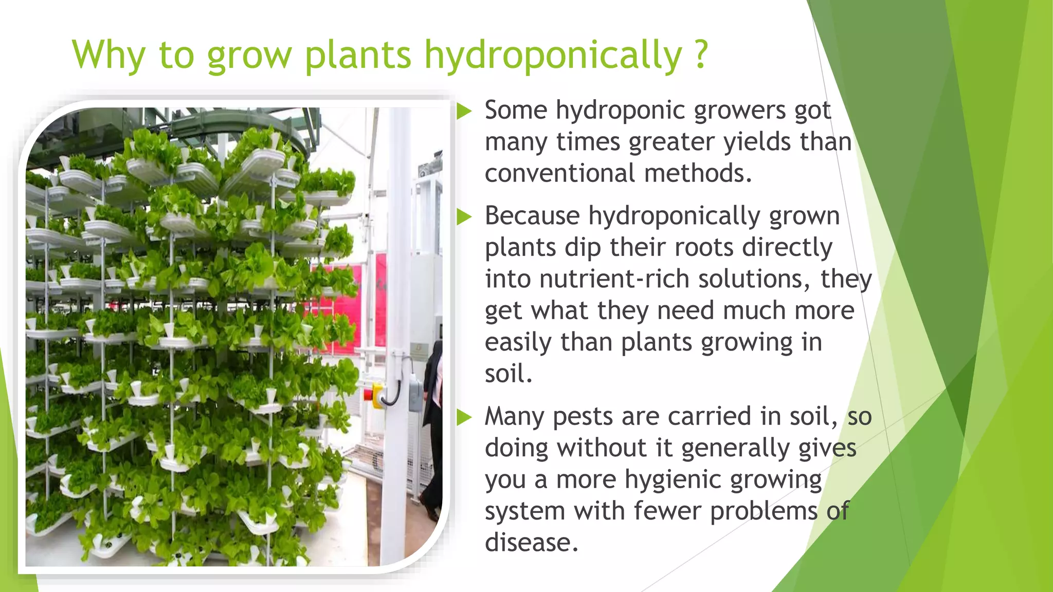 Hydroponics (Biology) | PPT