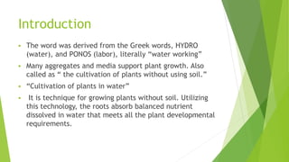Hydroponics (Biology) | PPT