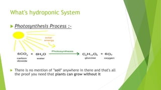 Hydroponics (Biology) | PPT
