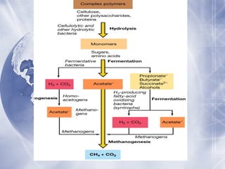 biohydrogen.ppt