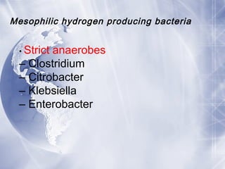 biohydrogen.ppt