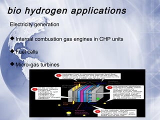 biohydrogen.ppt