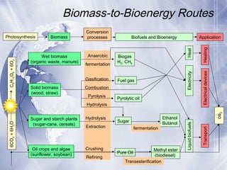 biohydrogen.ppt