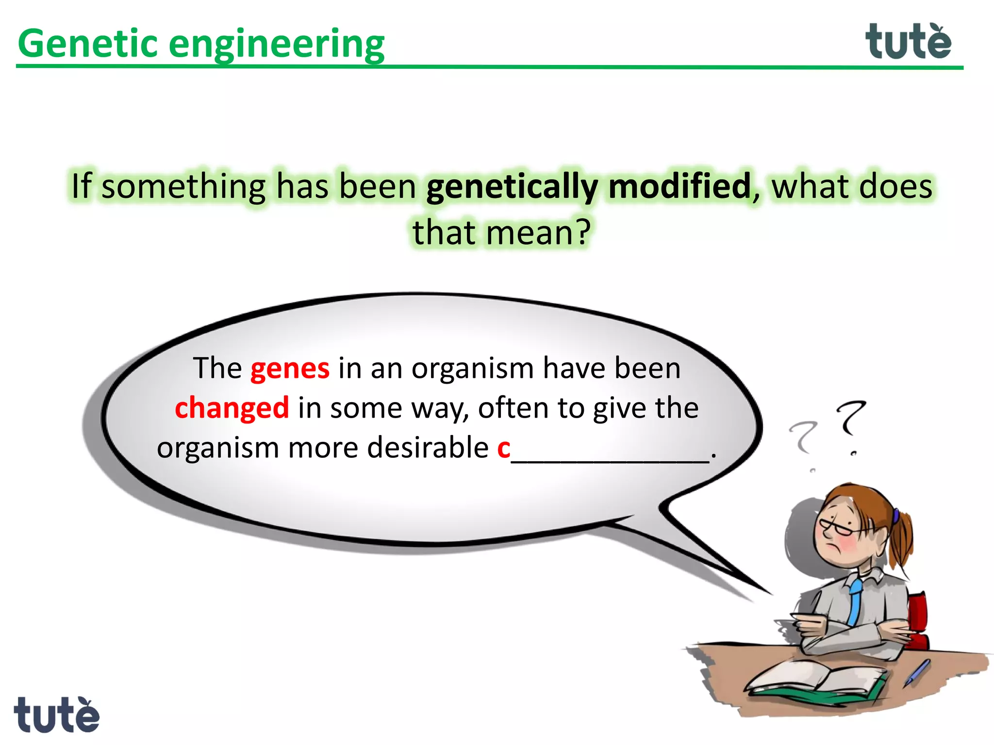 Bio IGCSE- Genetic Engineering. | PDF