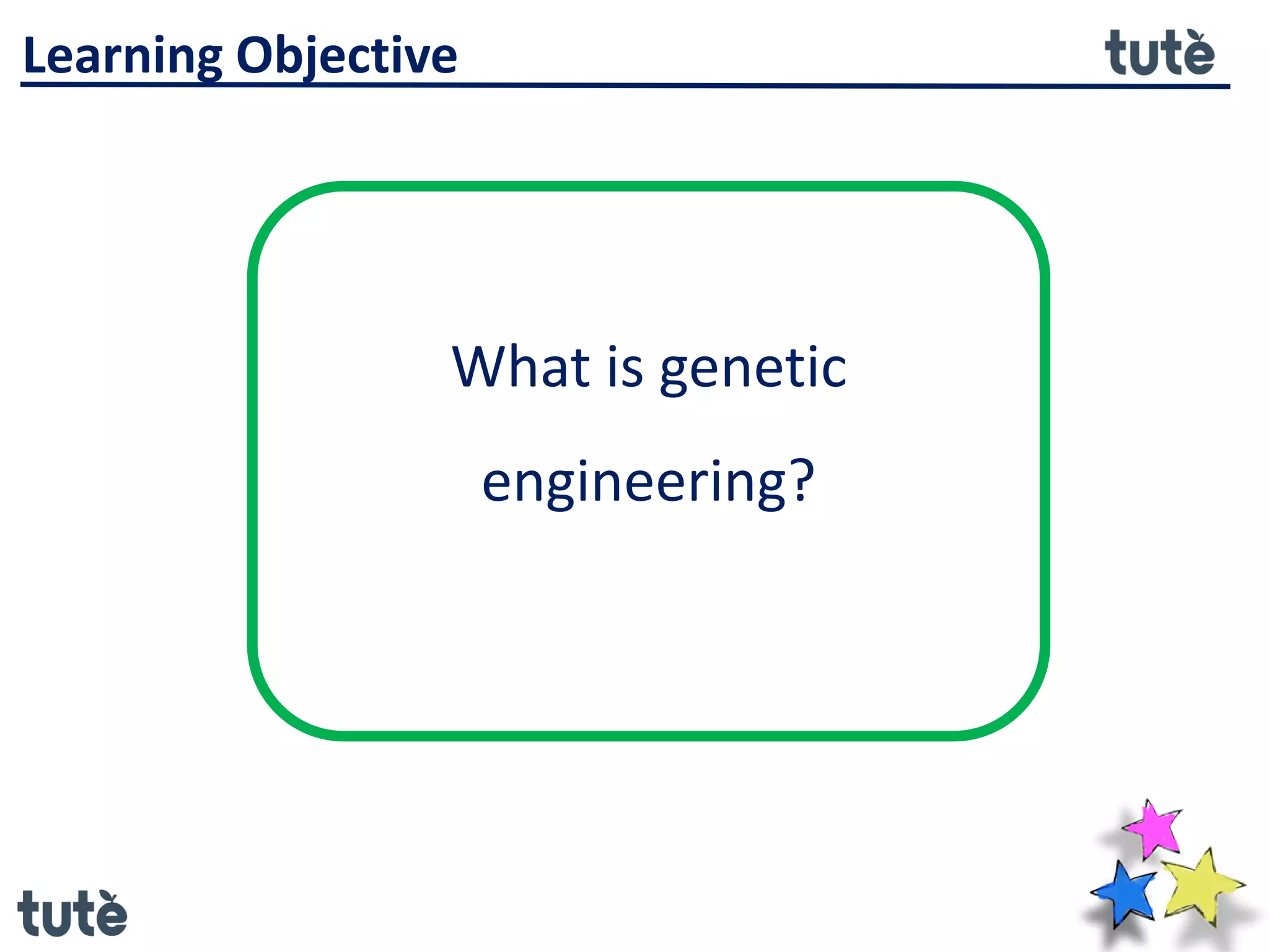 Bio IGCSE- Genetic Engineering. | PDF