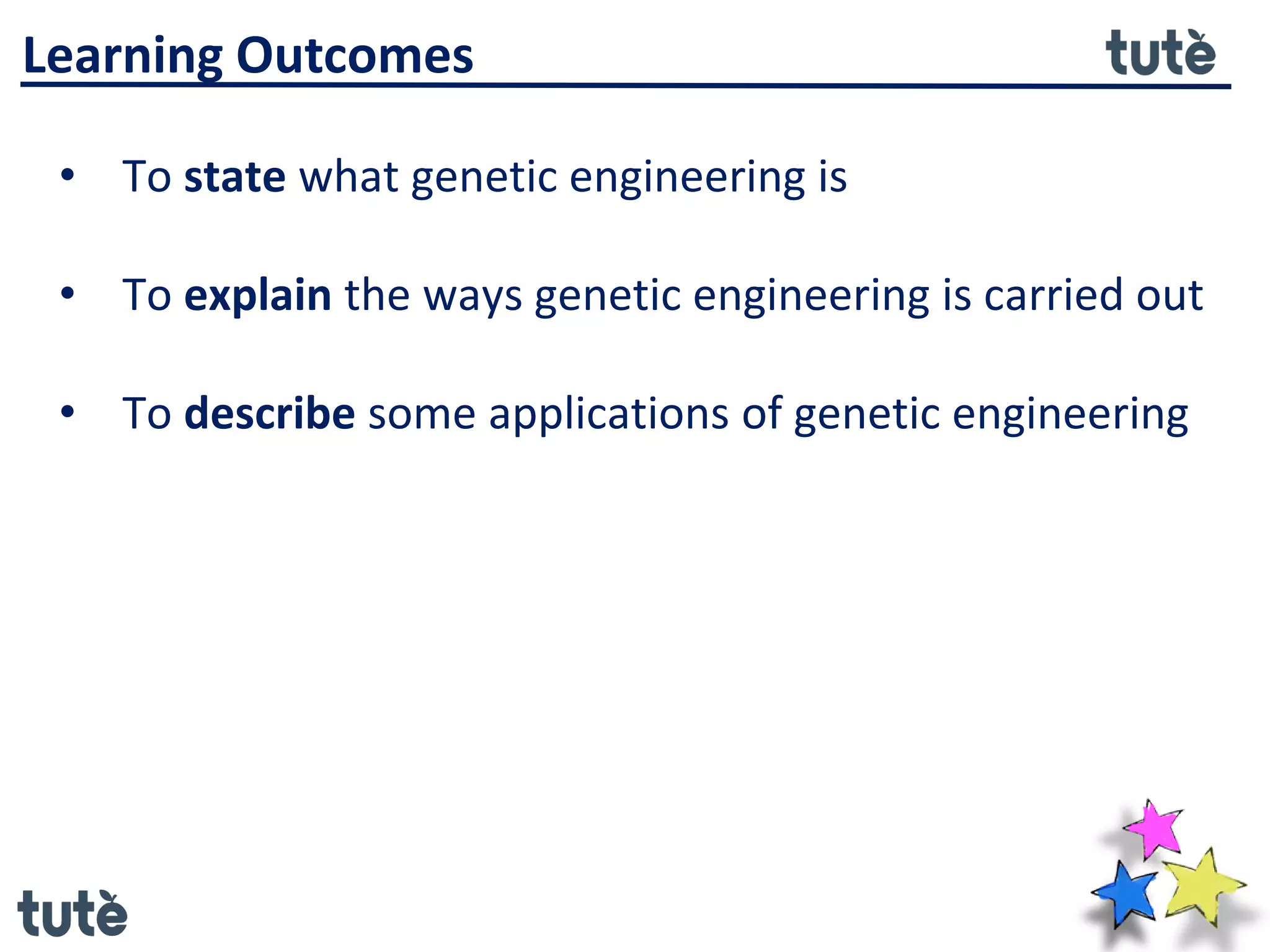 Bio IGCSE- Genetic Engineering. | PDF
