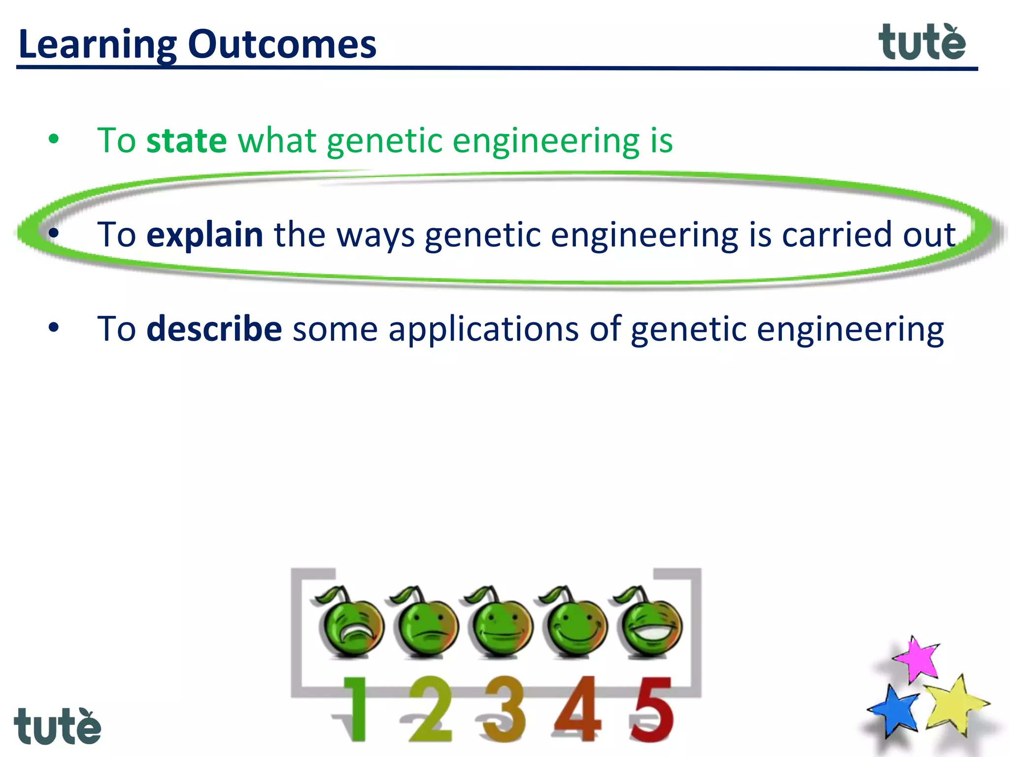 Bio IGCSE- Genetic Engineering. | PDF