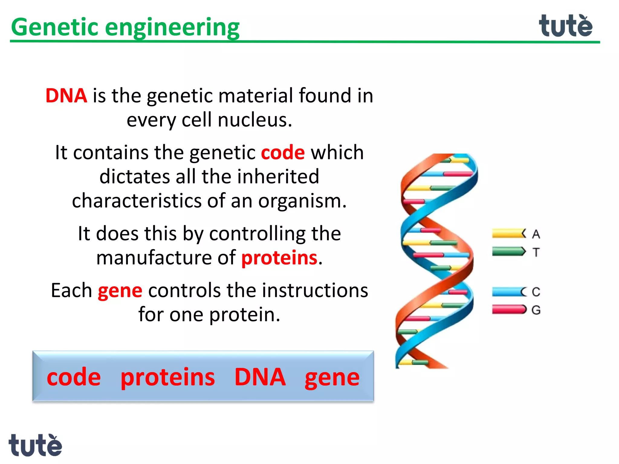 Bio IGCSE- Genetic Engineering. | PDF | Biotech and Biomedical Industry ...