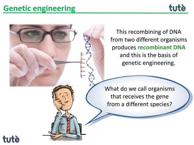Bio IGCSE- Genetic Engineering. | PDF | Biotech and Biomedical Industry ...