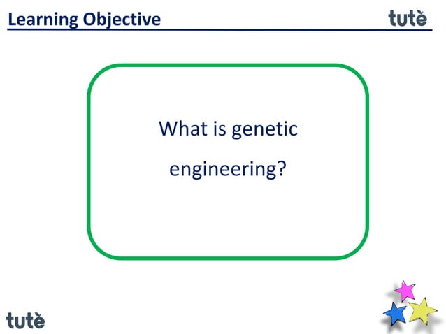 Bio IGCSE- Genetic Engineering. | PDF | Biotech and Biomedical Industry ...