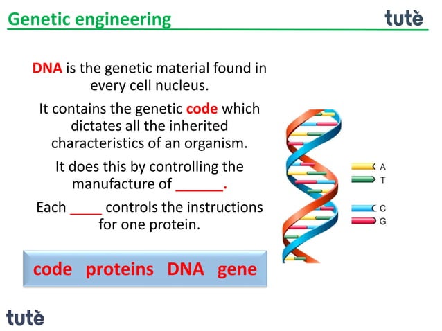 Bio IGCSE- Genetic Engineering. | PDF | Biotech and Biomedical Industry ...