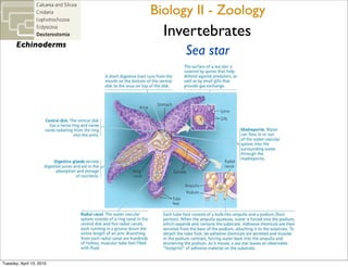 Bio ii 7 | PDF