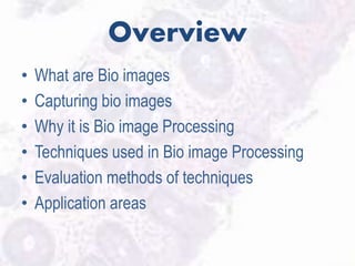 Bio image informatics | PPTX
