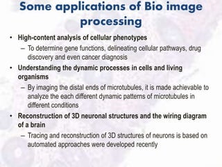 Bio image informatics | PPTX