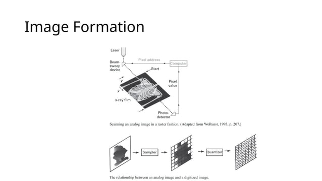 Presentation about types of biomedical images | PPTX