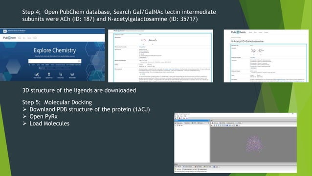 Structural Bioinformatics/Molecular Docking.pptx Structural Bioinformatics/Molecular Docking.pptx