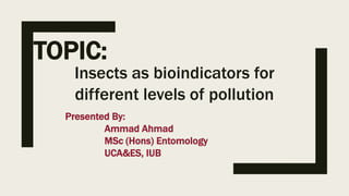 Insects As Bioindictors for Different Levels of Pollution | PPT