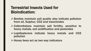 Insects As Bioindictors for Different Levels of Pollution | PPT