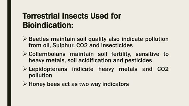 Insects As Bioindictors for Different Levels of Pollution | PPT