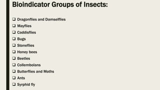 Insects As Bioindictors for Different Levels of Pollution | PPT