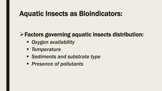 Insects As Bioindictors for Different Levels of Pollution | PPT