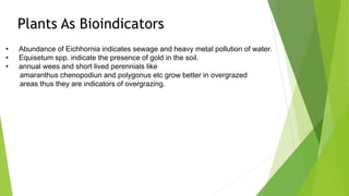 BIOINDICATOR1 (1) (1).pptx