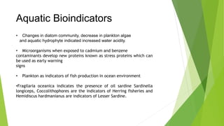 BIOINDICATOR1 (1) (1).pptx