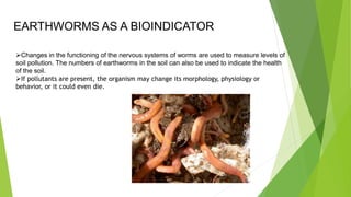 BIOINDICATOR1 (1) (1).pptx