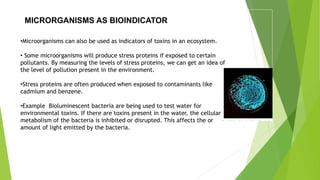 BIOINDICATOR1 (1) (1).pptx