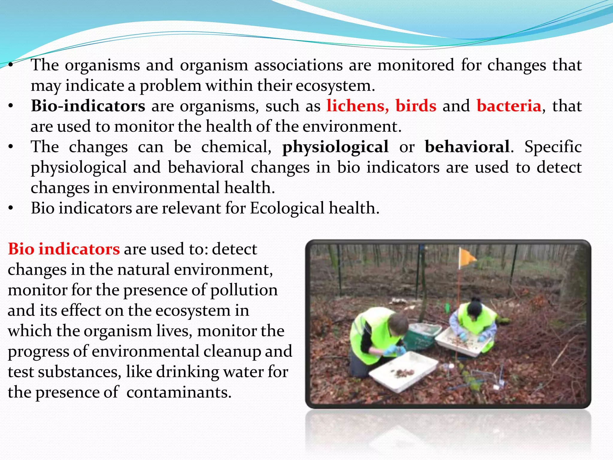 Bioindicators | PPTX