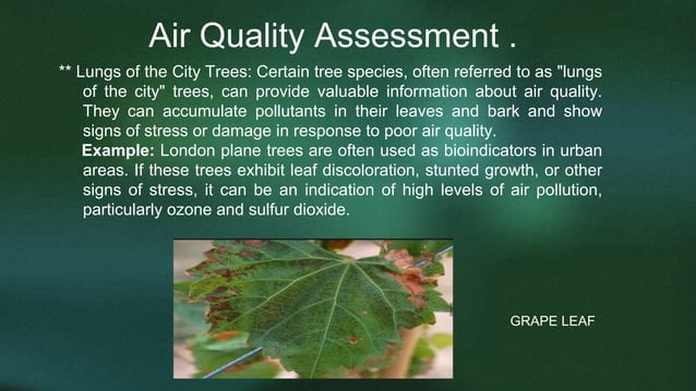 Bioindicators and their Significance in Ecosystem - Astha.pptx